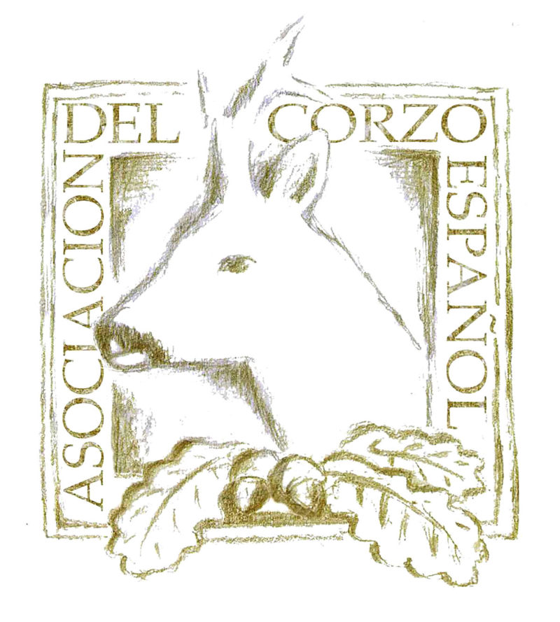 La Asociación del Corzo Español renueva su junta directiva - Cazawonke ...