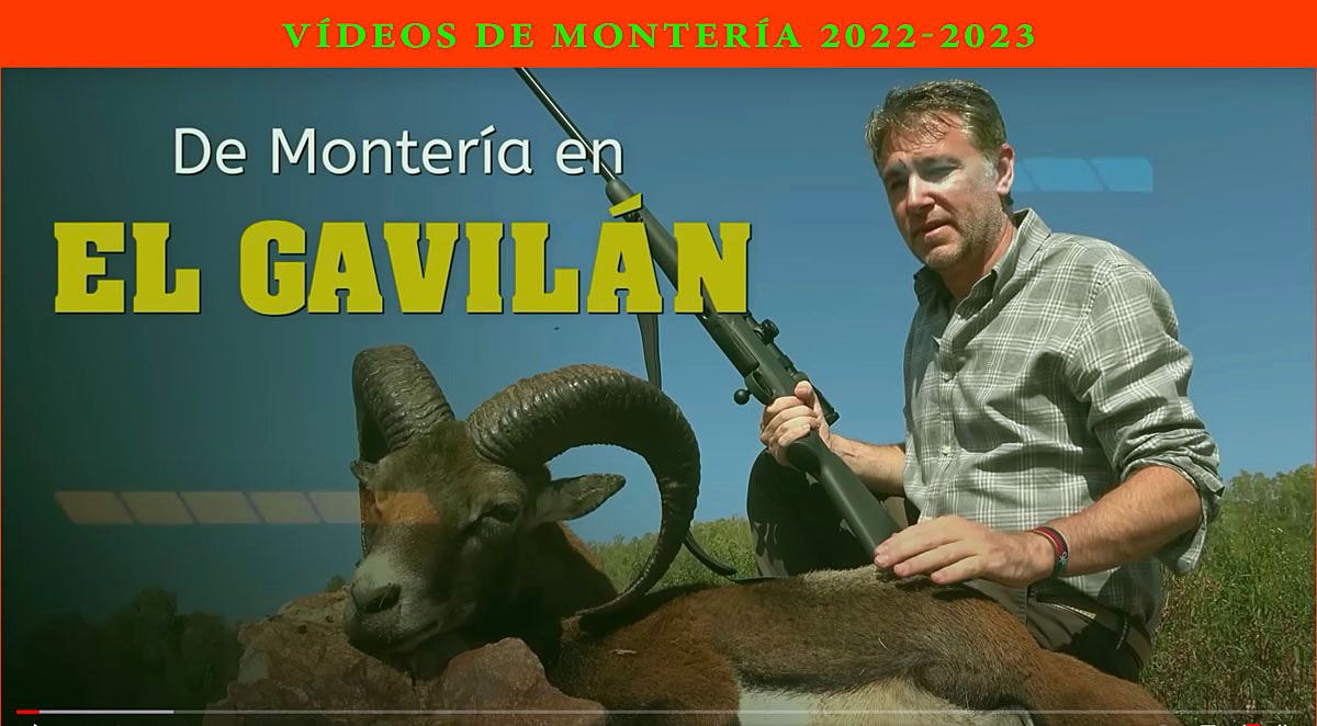 Diez motivos para consumir carne de caza - Cazawonke - CAZA y SAFARIS