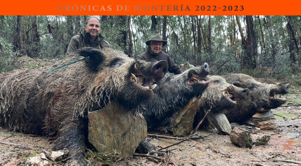 Jabalíes impresionantes en El Bosque con Cacerías Cabezas - Cazawonke ...