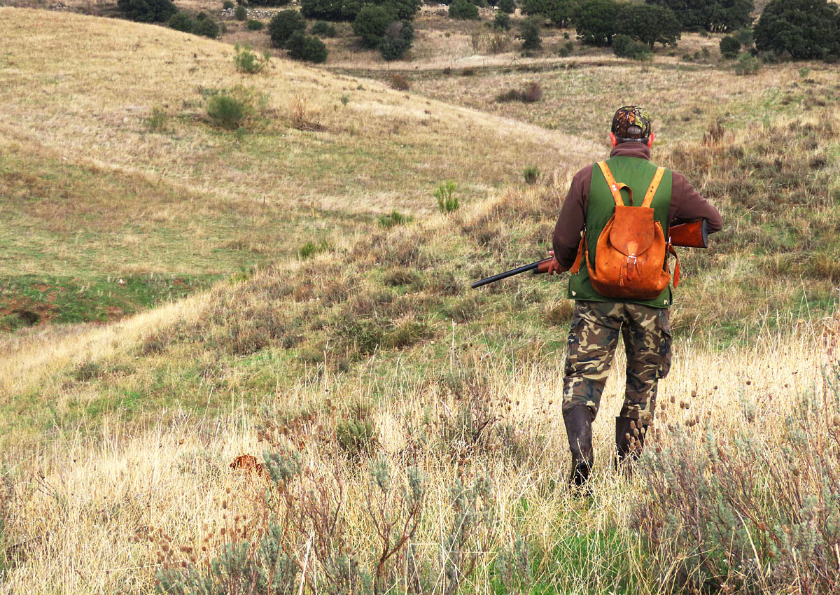 FEDEXCAZA oferta nuevos cursos online para mejorar la formación ...