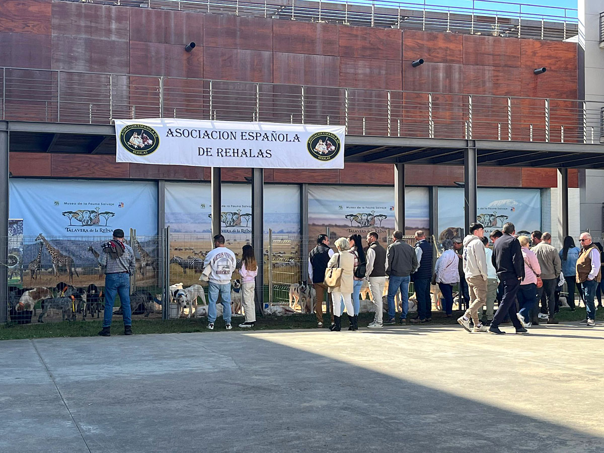 Éxito absoluto: casi 14.000 visitantes consolidan FIAGA como la feria ...