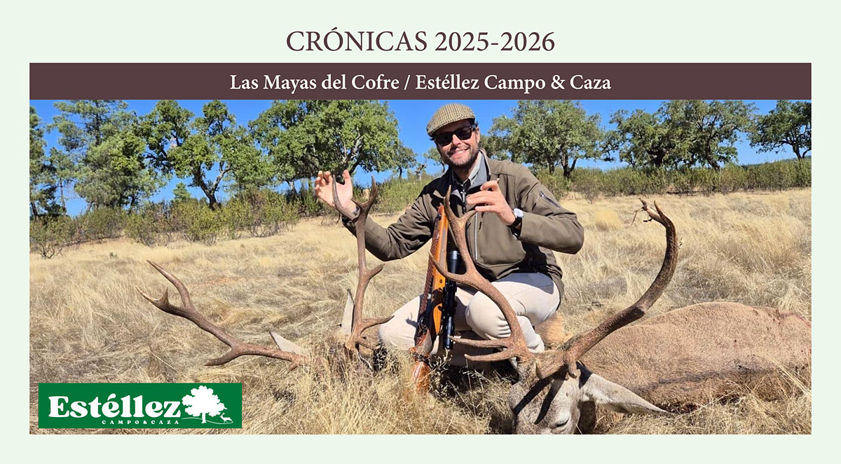 Las Mayas del Cofre con Estéllez Campo y Caza: Destacó la media de los ...