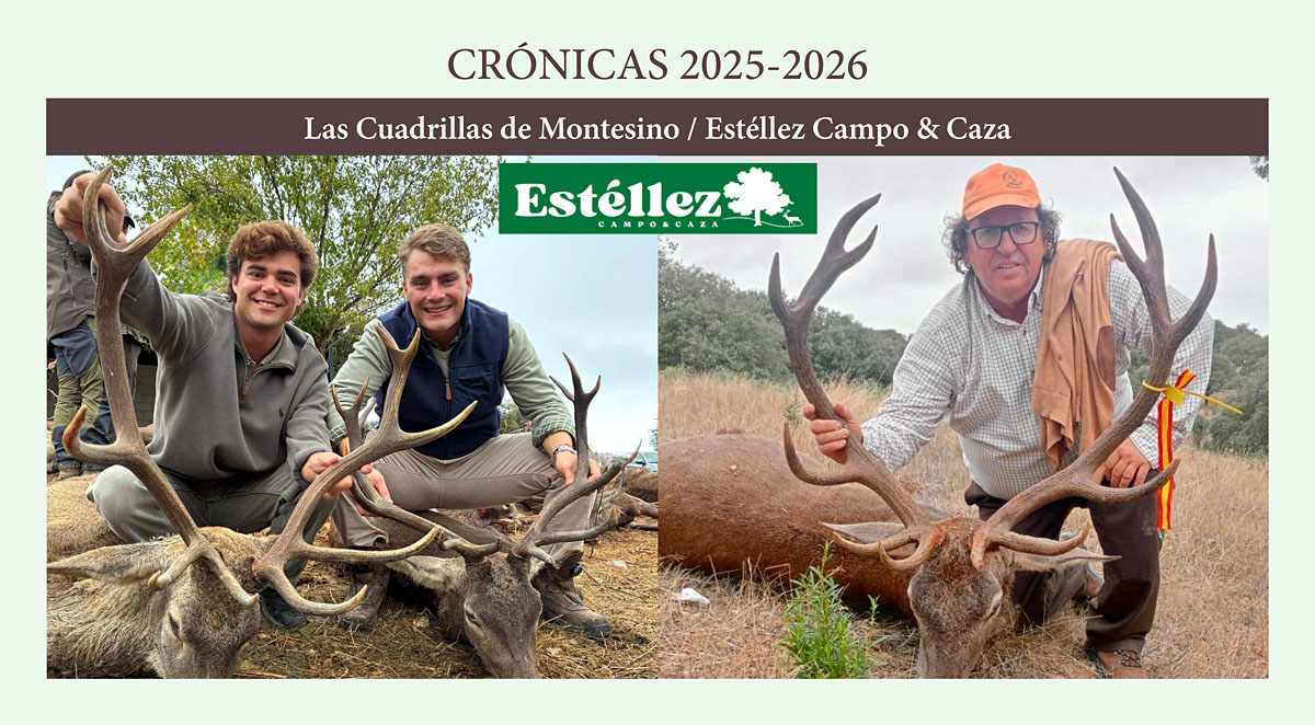 Gran montería de venados en la emblemática Las Cuadrillas de Montesino ...